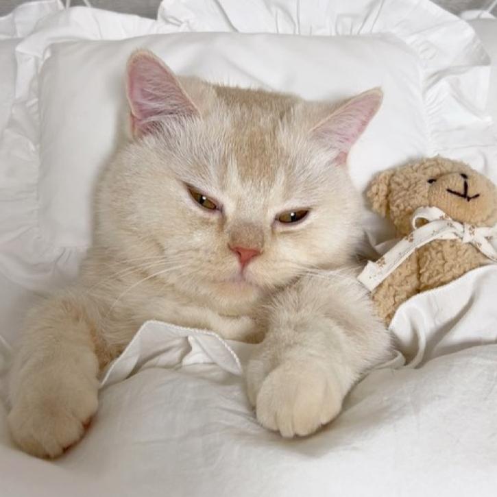 double_pp's Post|Lemon8