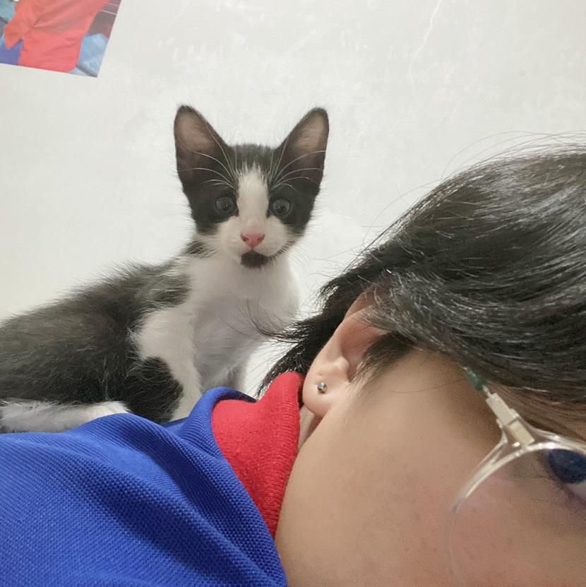 Pichamon Paksa's Post|Lemon8