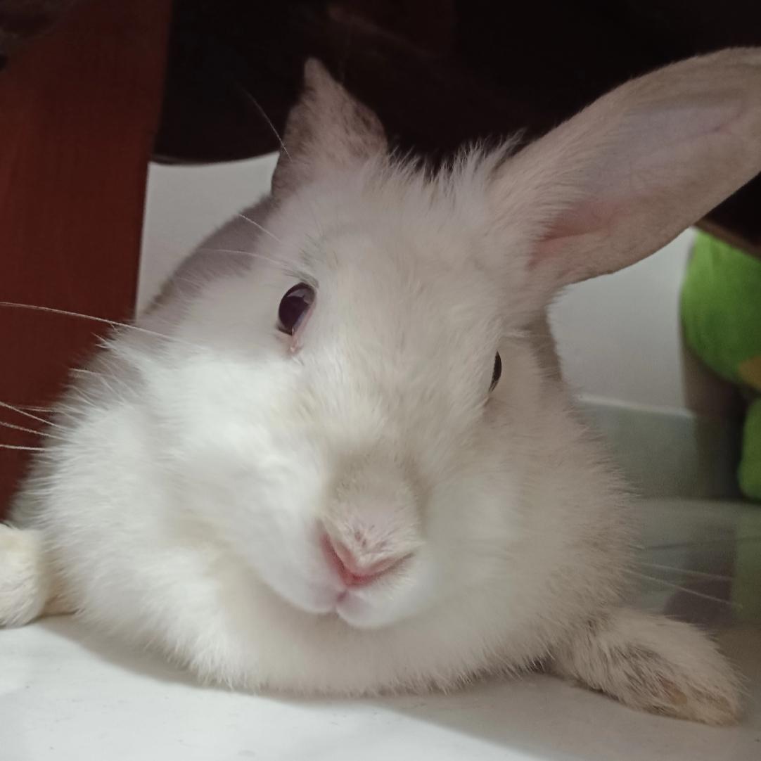 Suchanan's Post|Lemon8