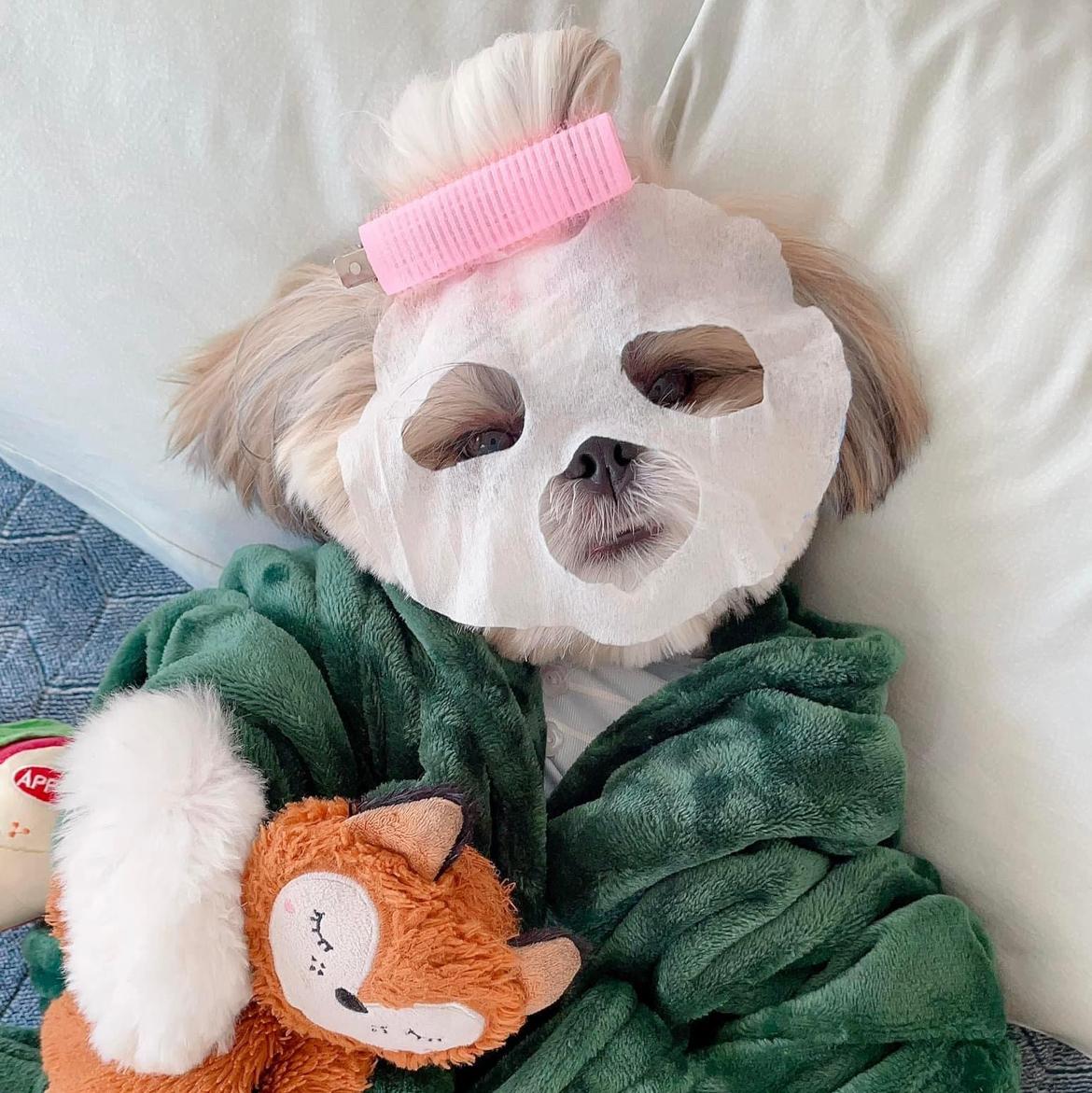 NamFon's Post|Lemon8