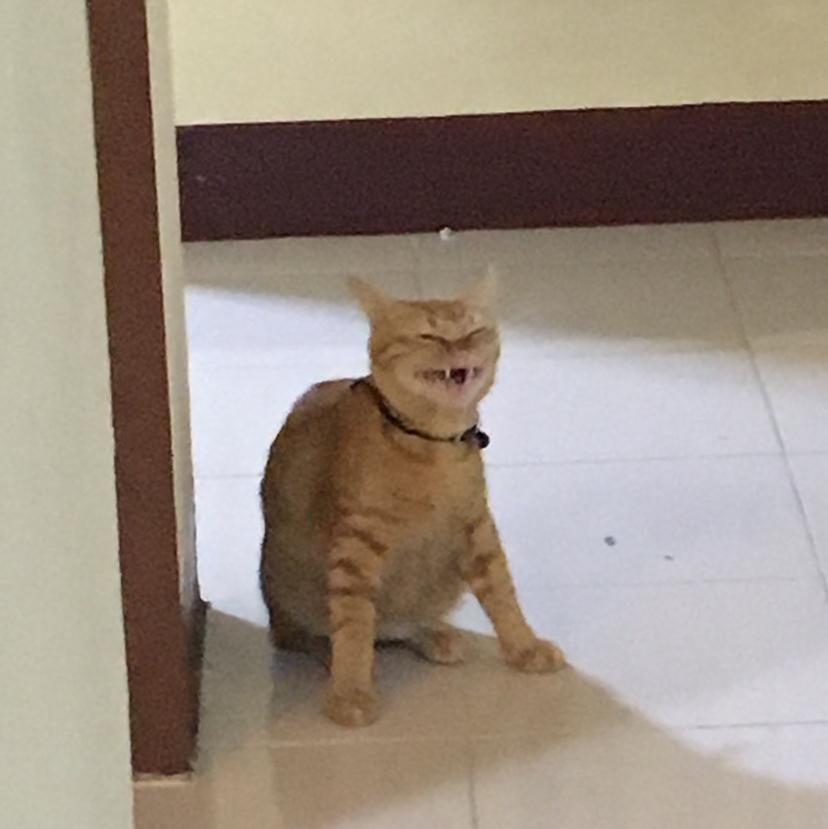 Yaaaaaaaaaa's Post|Lemon8