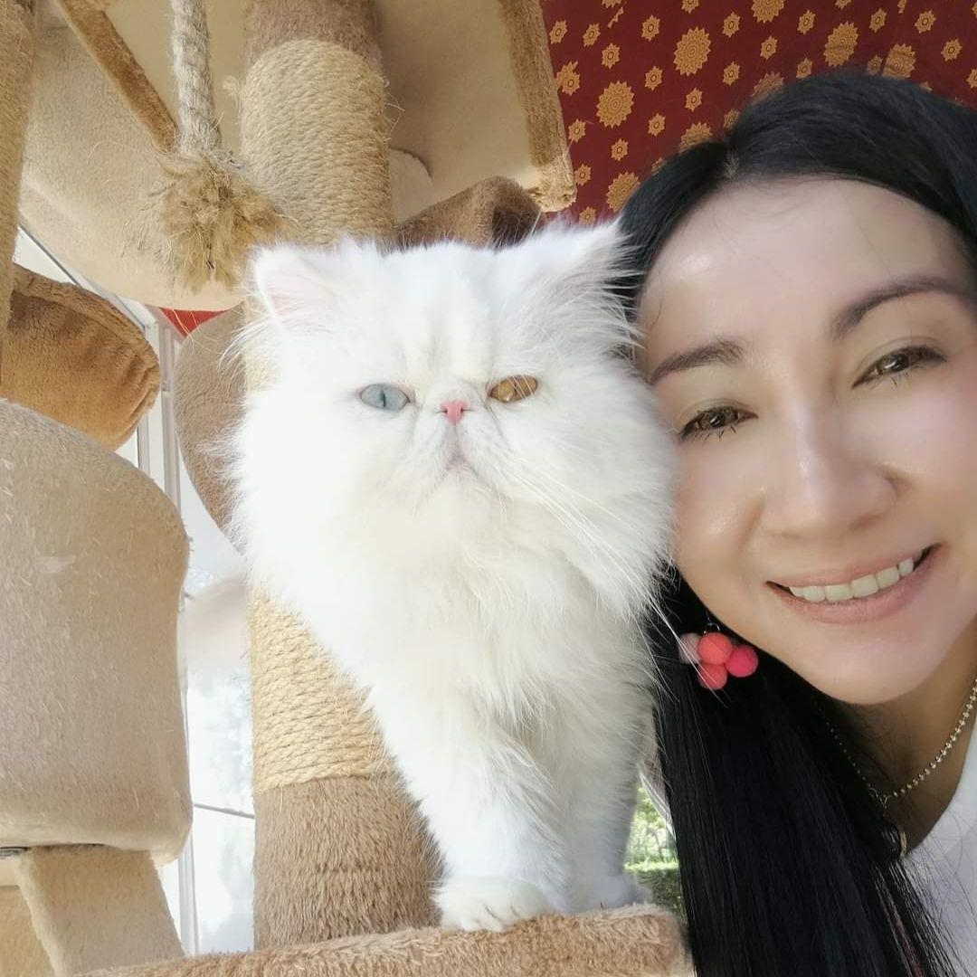 ♡ミ𝑵𝒖𝒕𝒕𝒚ˎˊ˗'s Post|Lemon8