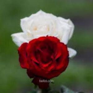 athy angel's Post|Lemon8