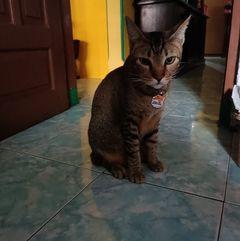 Imay Mulya's Post|Lemon8