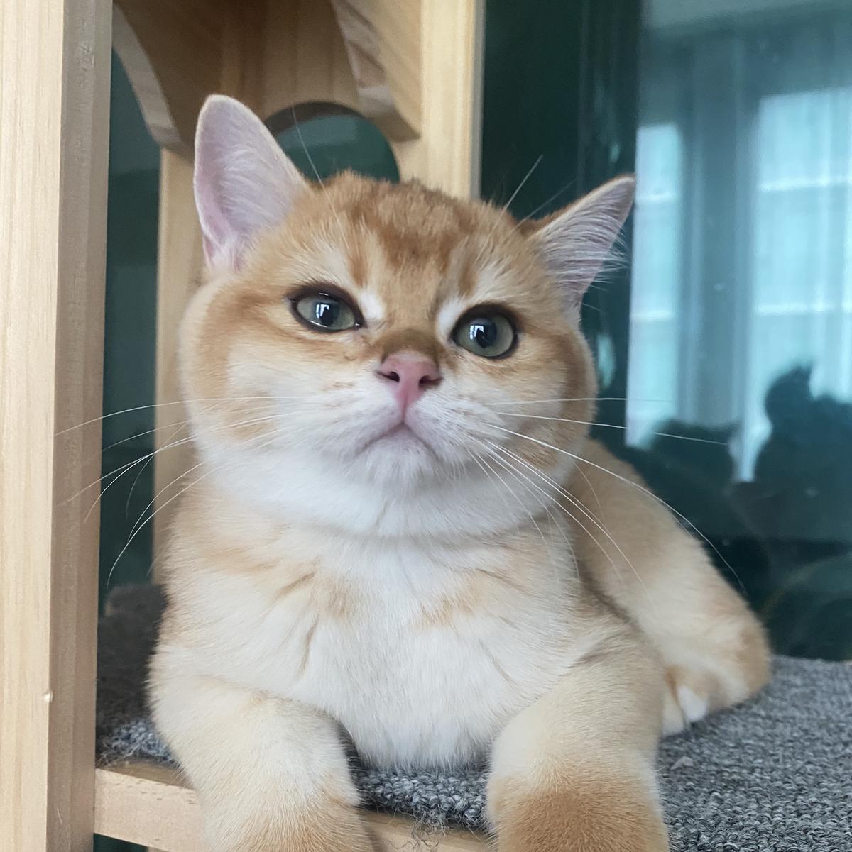 Evalyn's Post|Lemon8