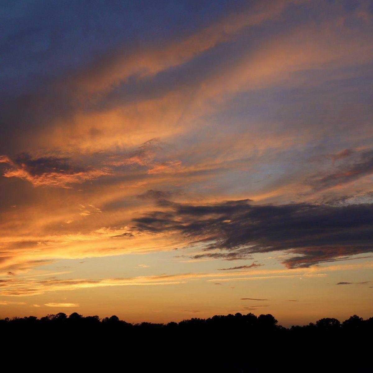 Abe Jin's Post|Lemon8