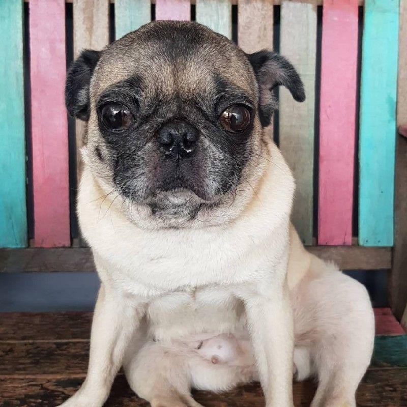 Tattoo Paradise's Post|Lemon8