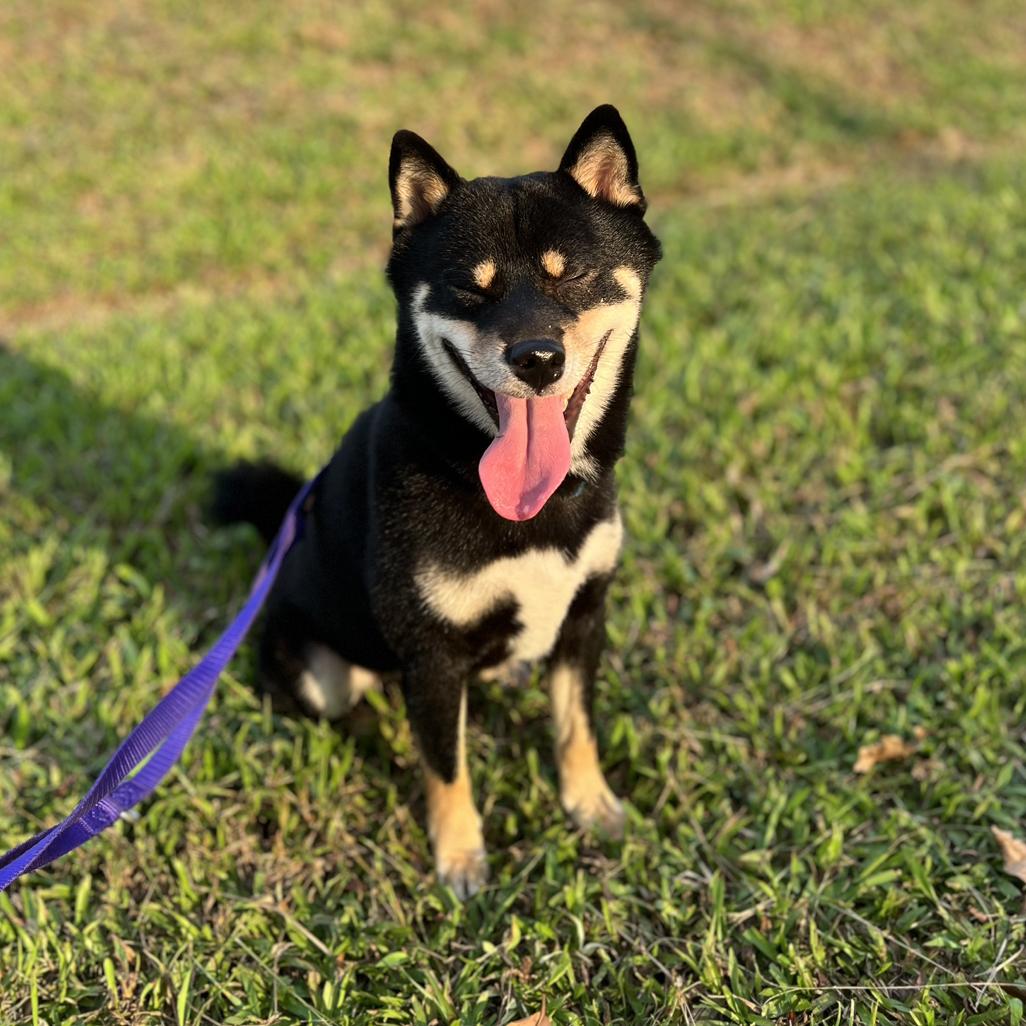 Mr Bean 🫘 's Post|Lemon8