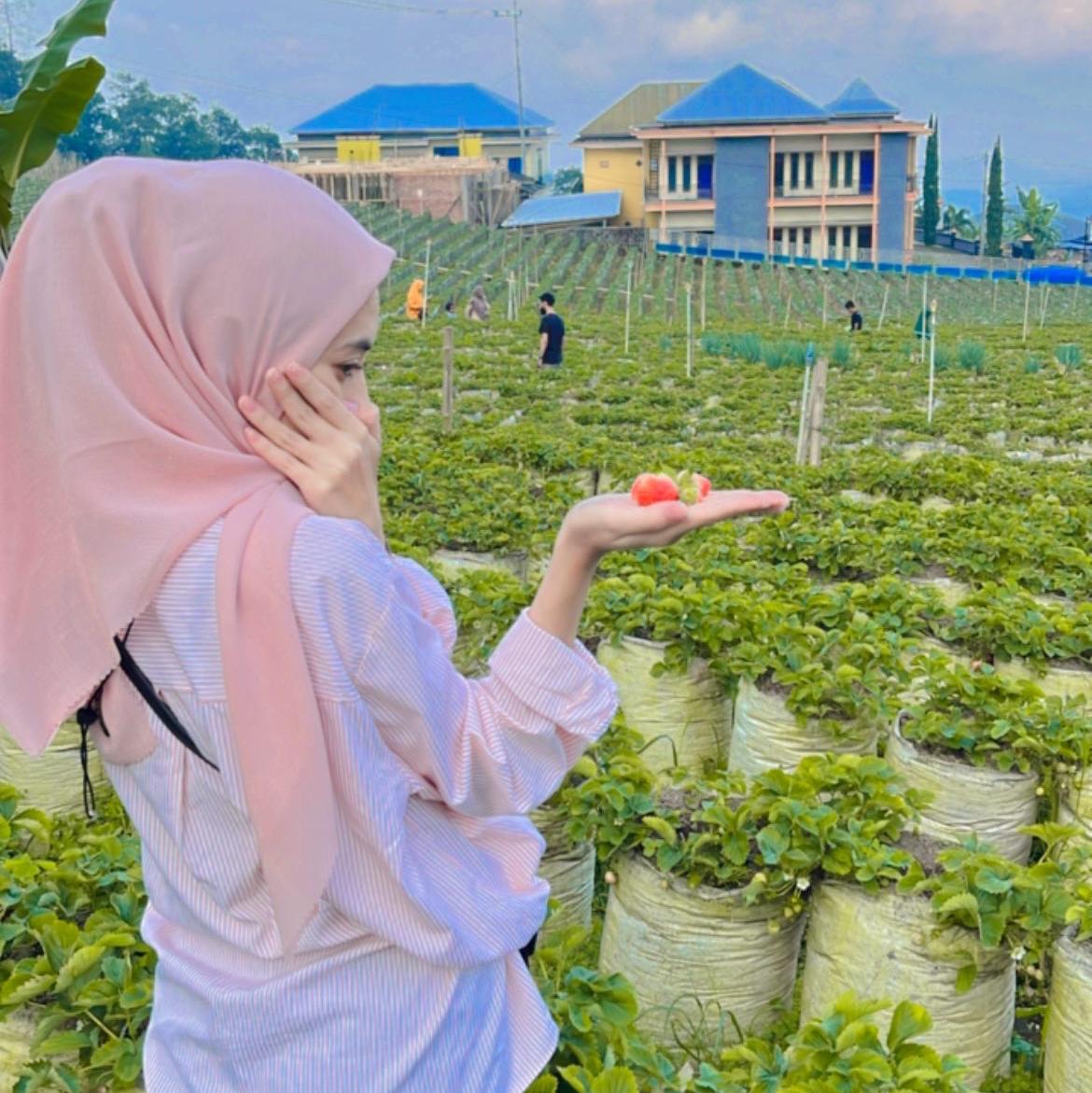 mami law's Post|Lemon8