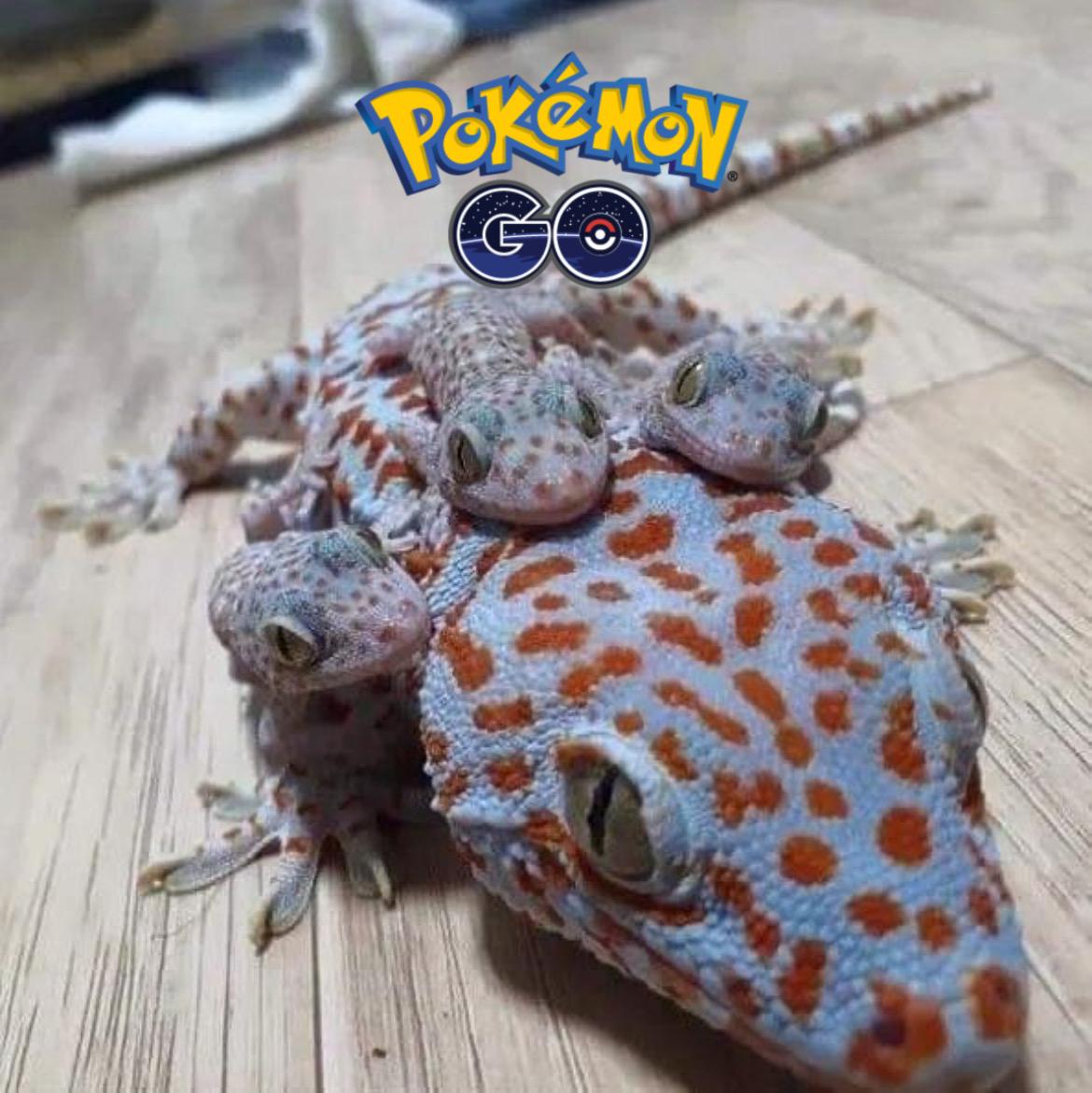 Gollum's Post|Lemon8