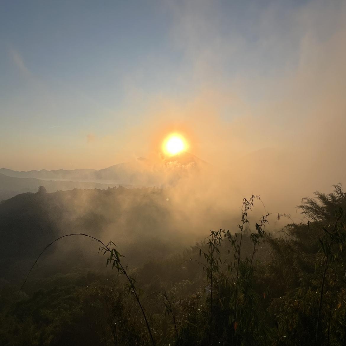 chloe chee's Post|Lemon8