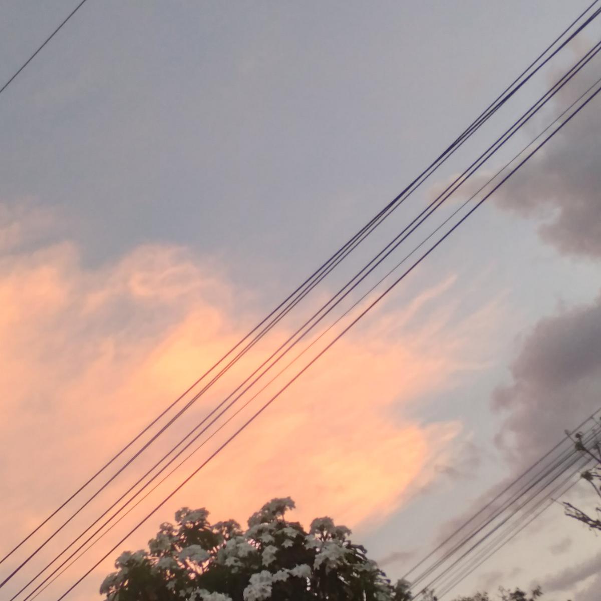 ploy🦋's Post|Lemon8