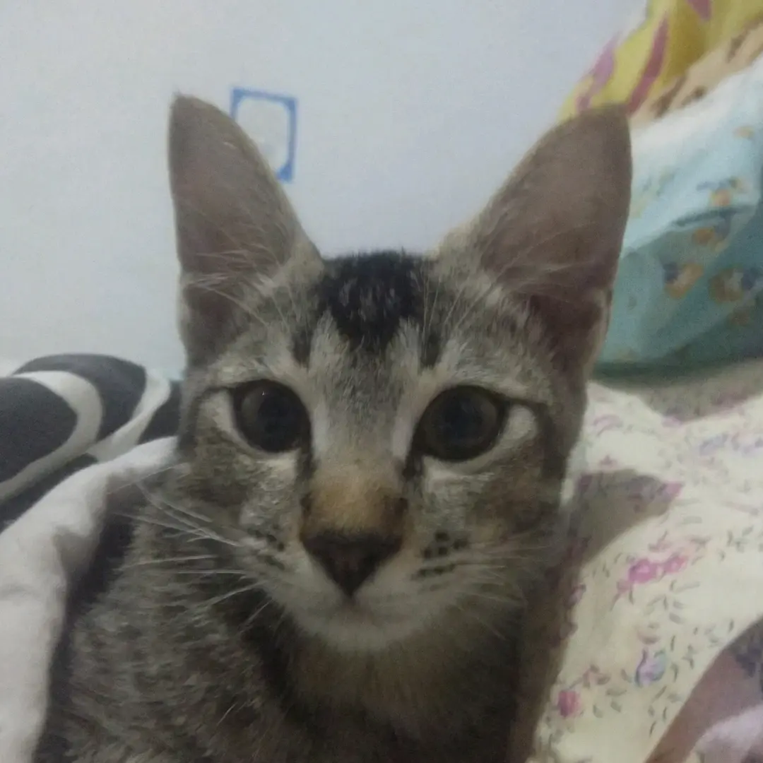 amanda🕊️'s Post|Lemon8