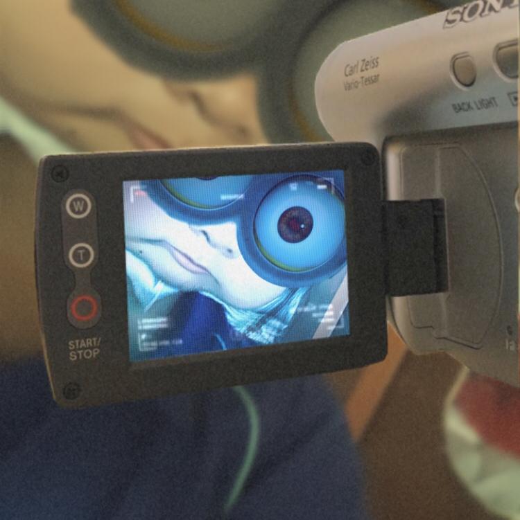 Pheerada Changk's Post|Lemon8