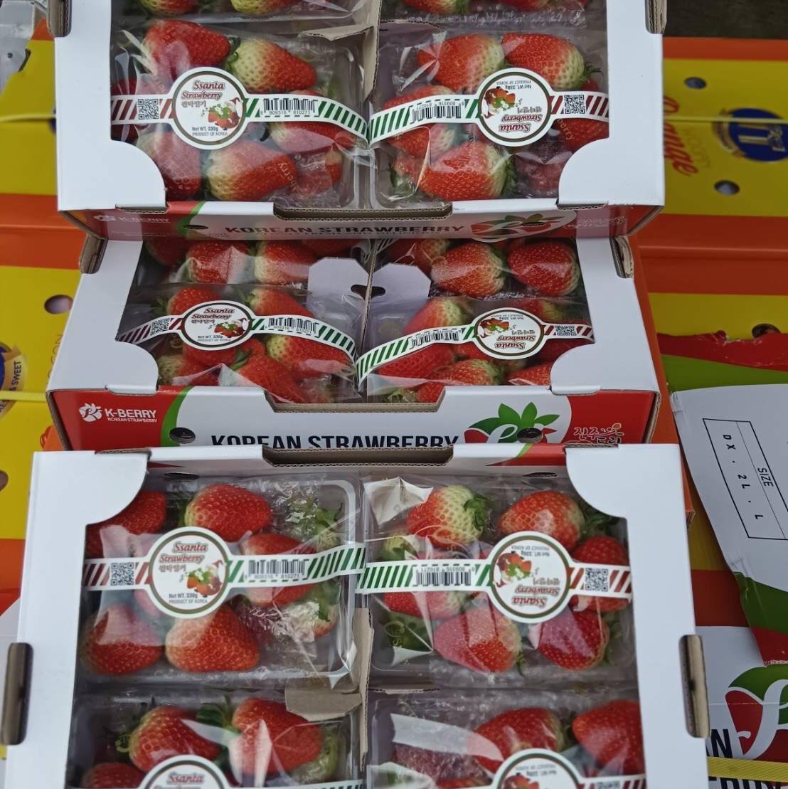 Goodtimefruit's Post|Lemon8