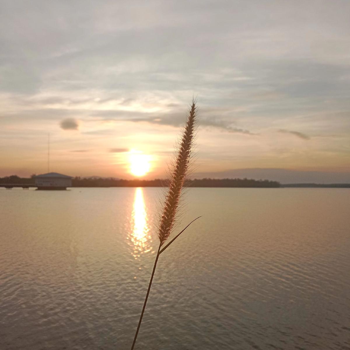 pearploy's Post|Lemon8