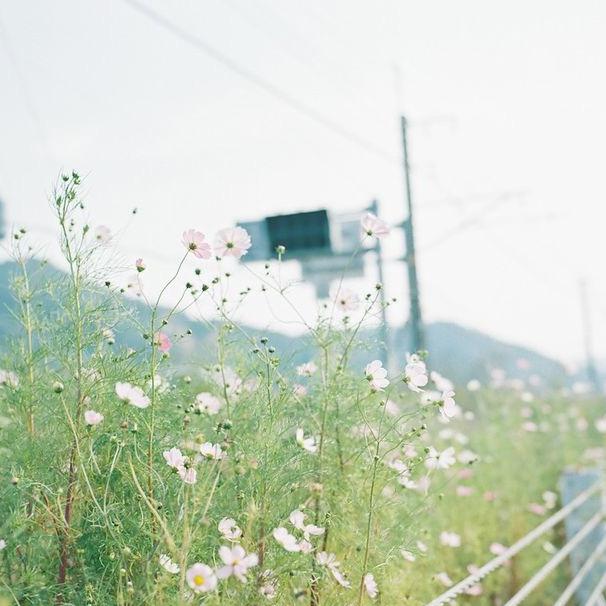 Lilith_*'s Post|Lemon8