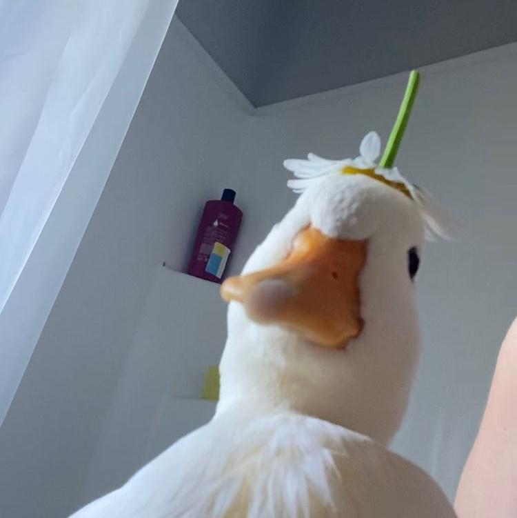 Txxngokk's Post|Lemon8