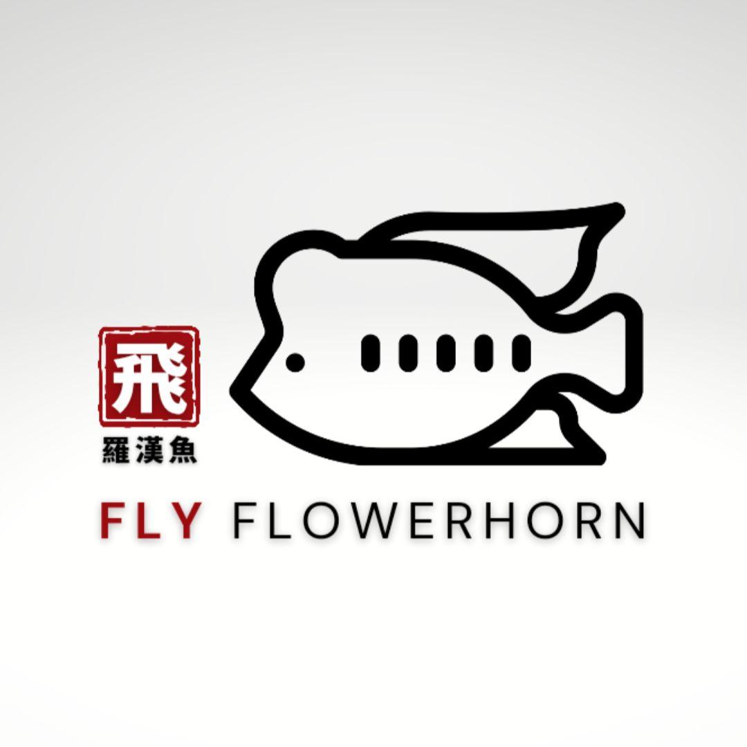 Fly Flowerhorn's Post|Lemon8