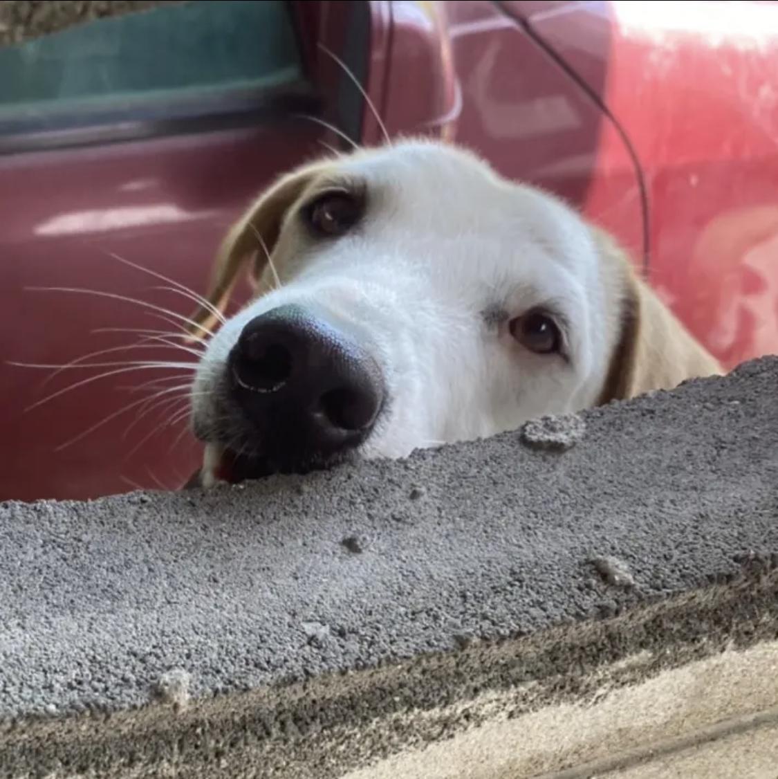 Dollar.floof's Post|Lemon8