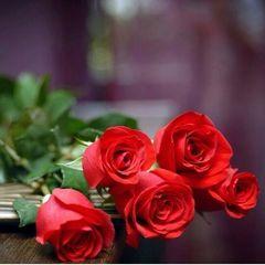 BuNga Mawarr's Post|Lemon8