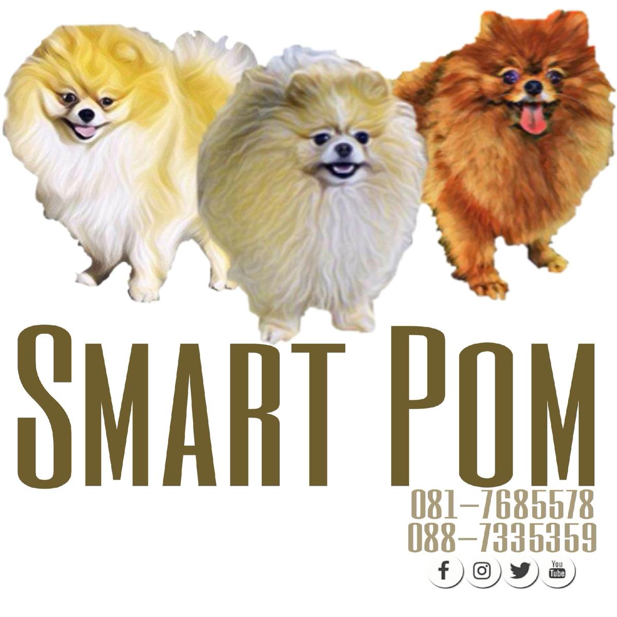 Smart Pom's Post|Lemon8