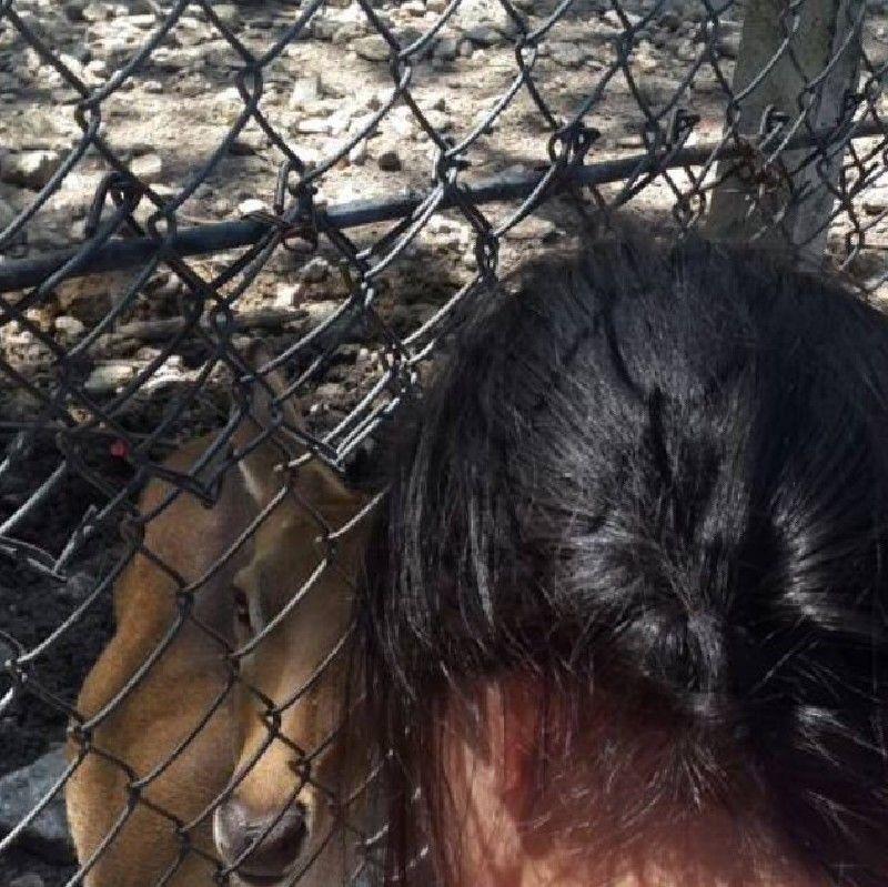 suwd.world's Post|Lemon8