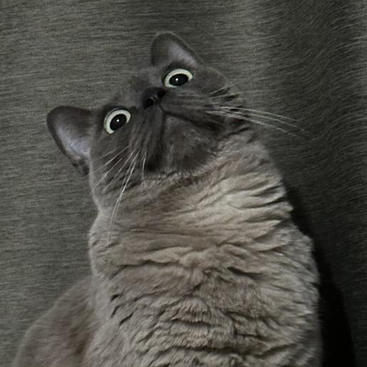 Getchup.b🍅's Post|Lemon8