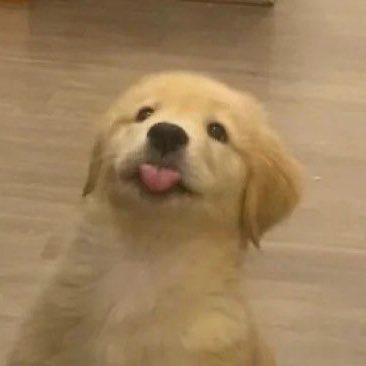 🍳Babe🥓🍟's Post|Lemon8