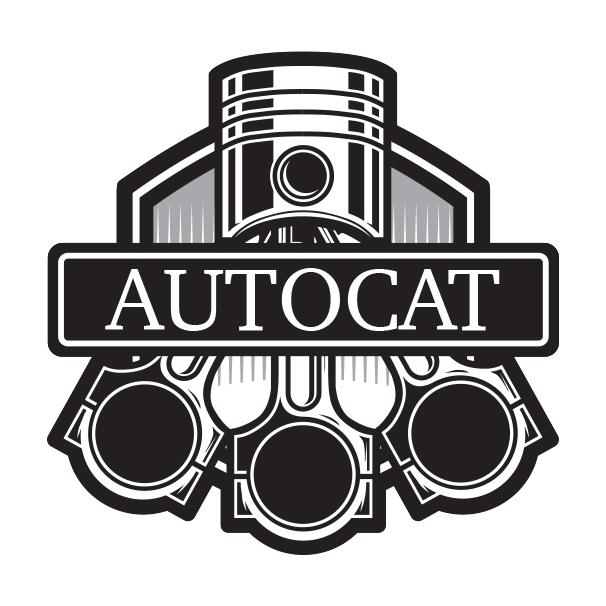 AutoCAT 's Post|Lemon8