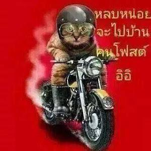 nokia jinasen's Post|Lemon8