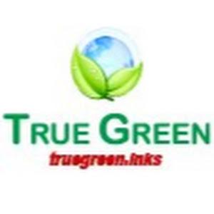 True Green หมึก's Post|Lemon8