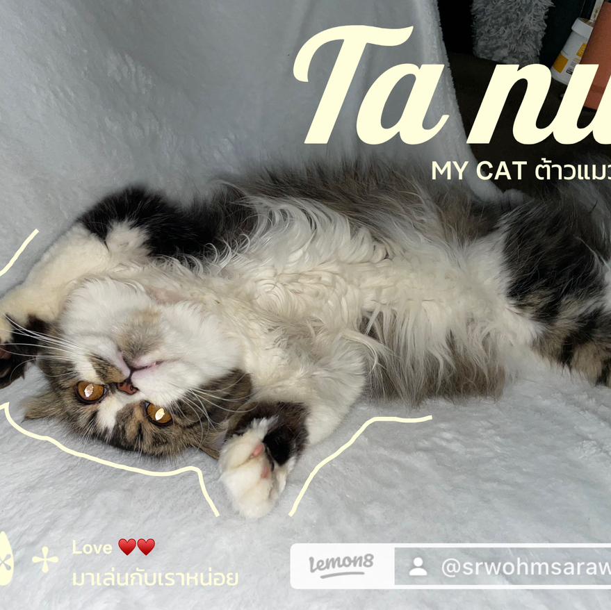 Srw Ohm Sarawot's Post|Lemon8