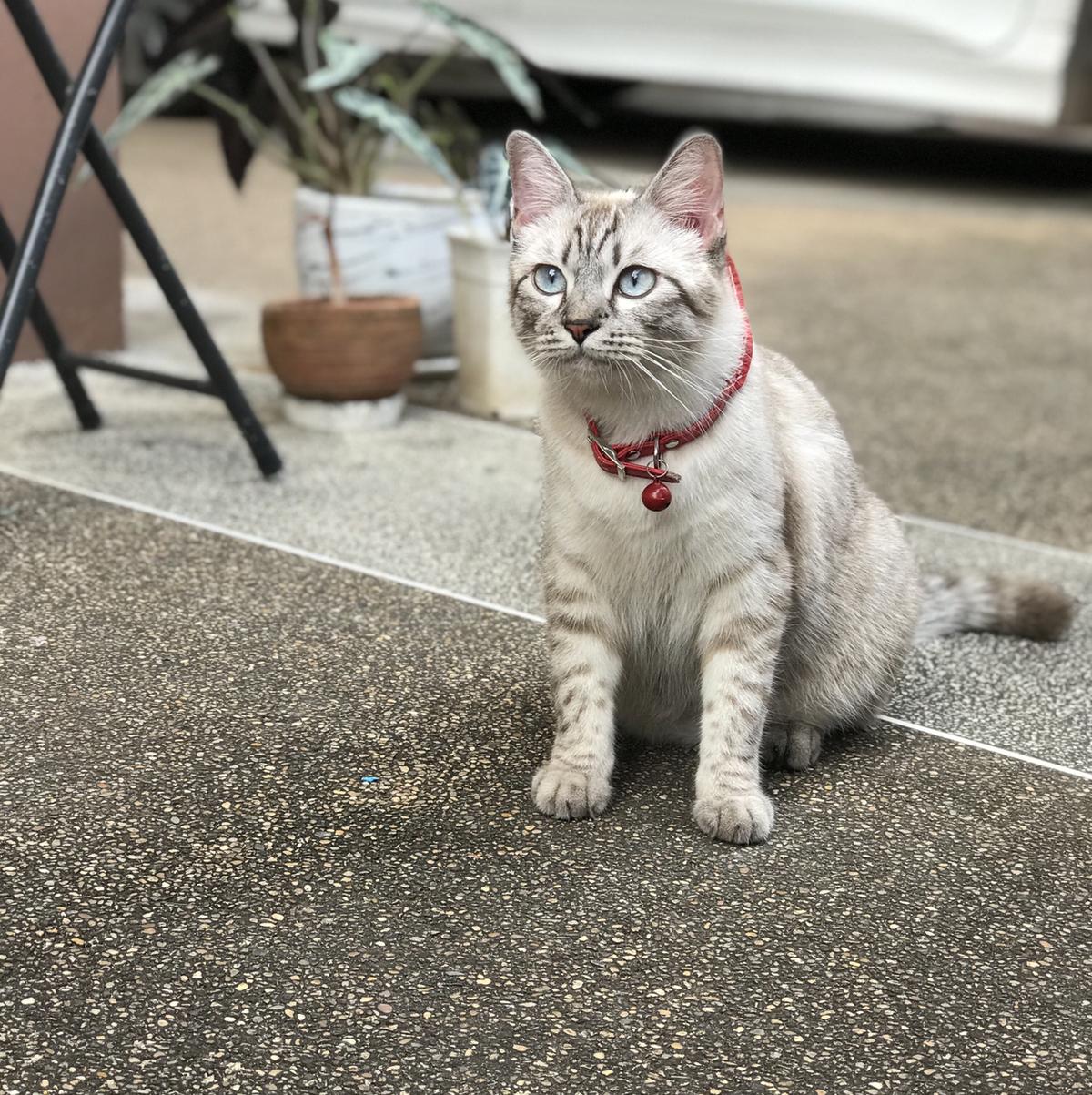 Safe Zone🔜's Post|Lemon8