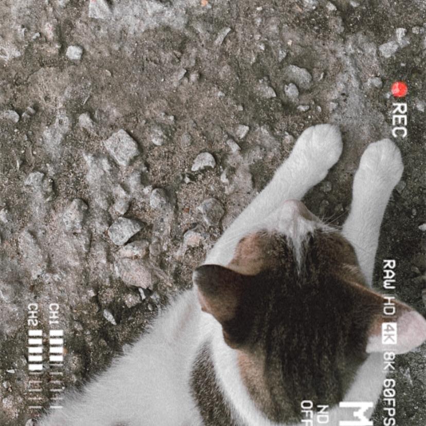 Tawan 's Post|Lemon8