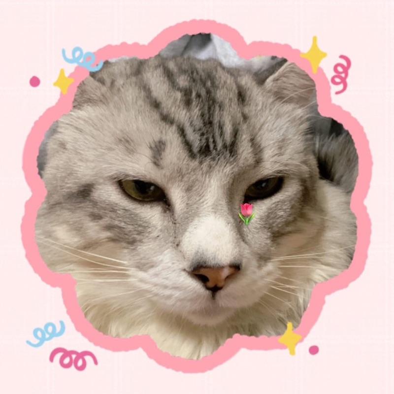 ᴀɪɴɢ's Post|Lemon8