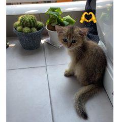 Restart CM's Post|Lemon8