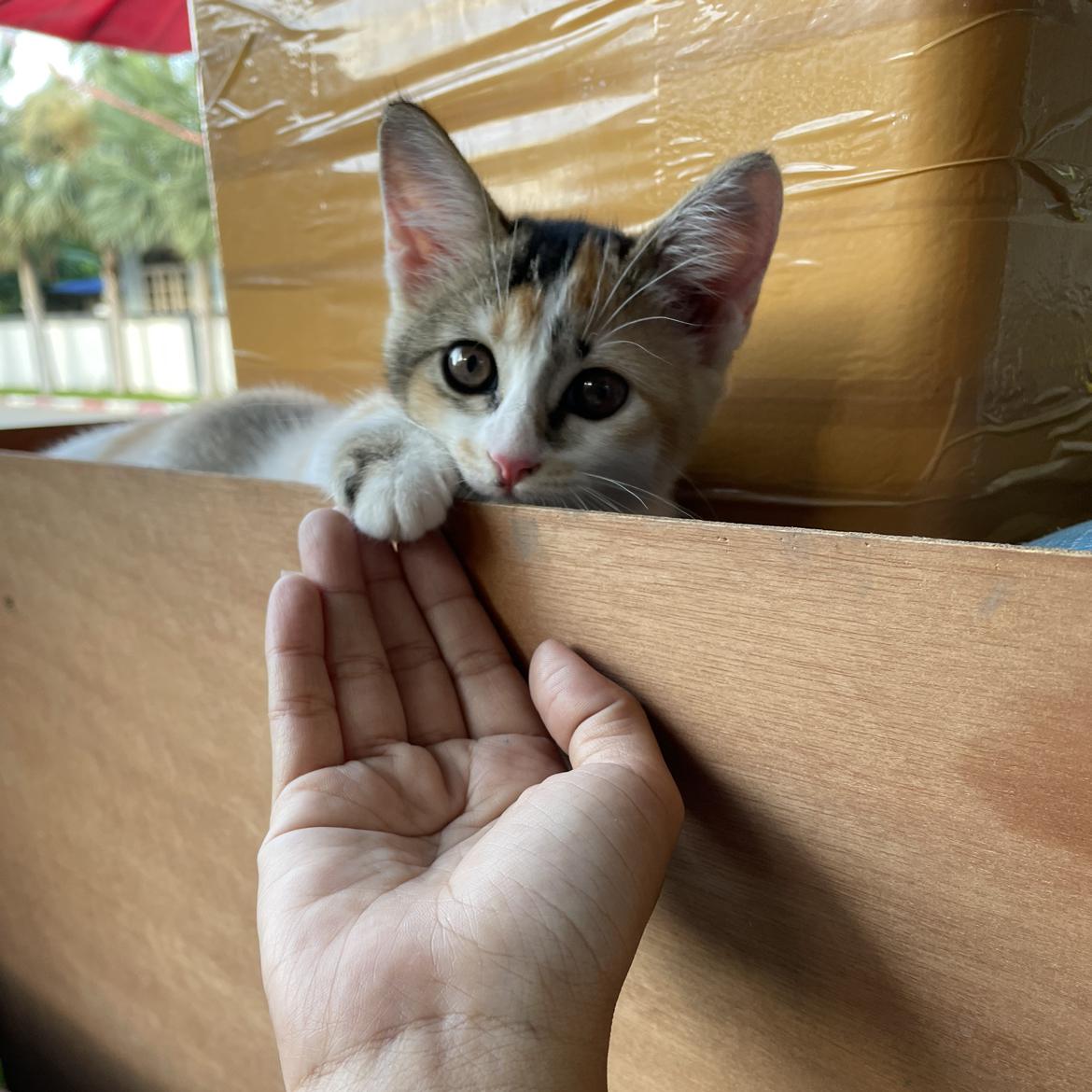 Sukanya bum.'s Post|Lemon8