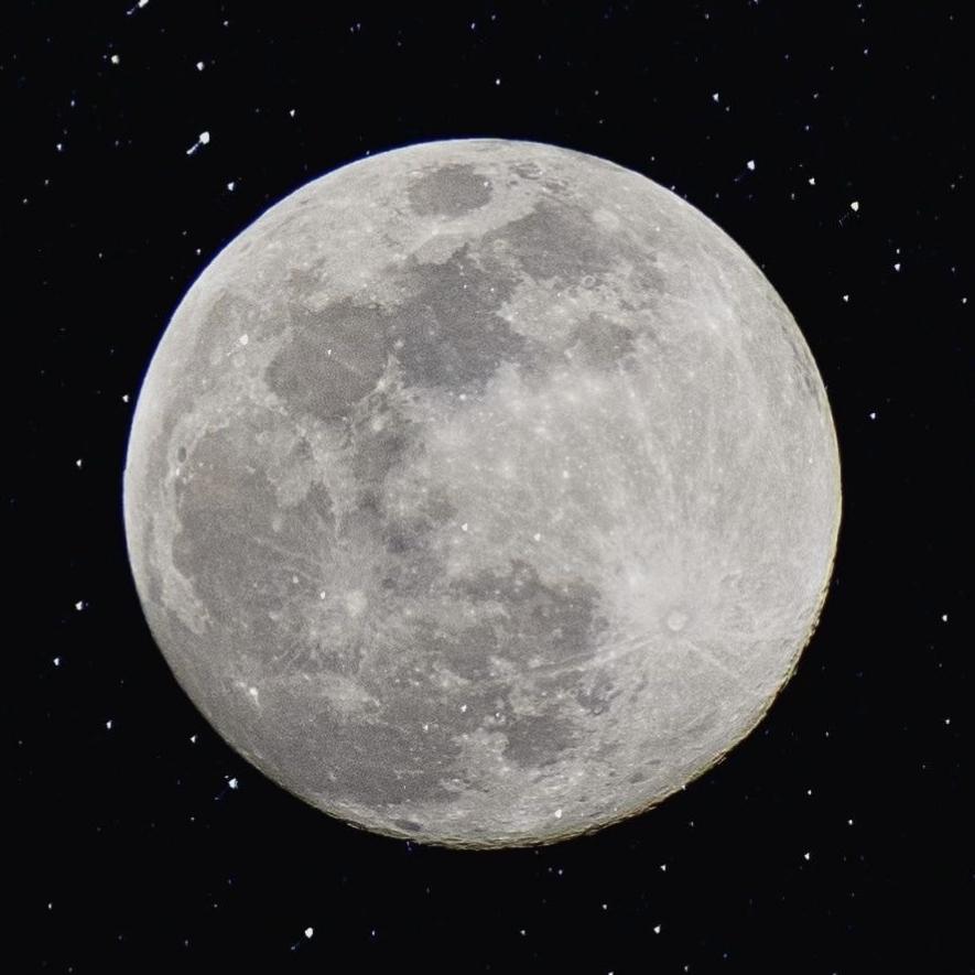 moonkitchen's Post|Lemon8