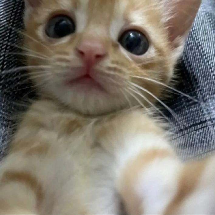 Momay🌺's Post|Lemon8