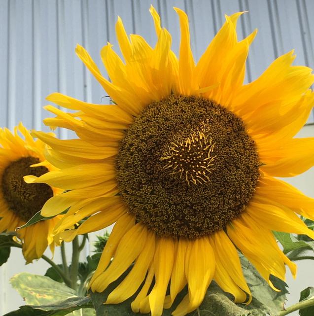 Ticer_ieqa's Post|Lemon8