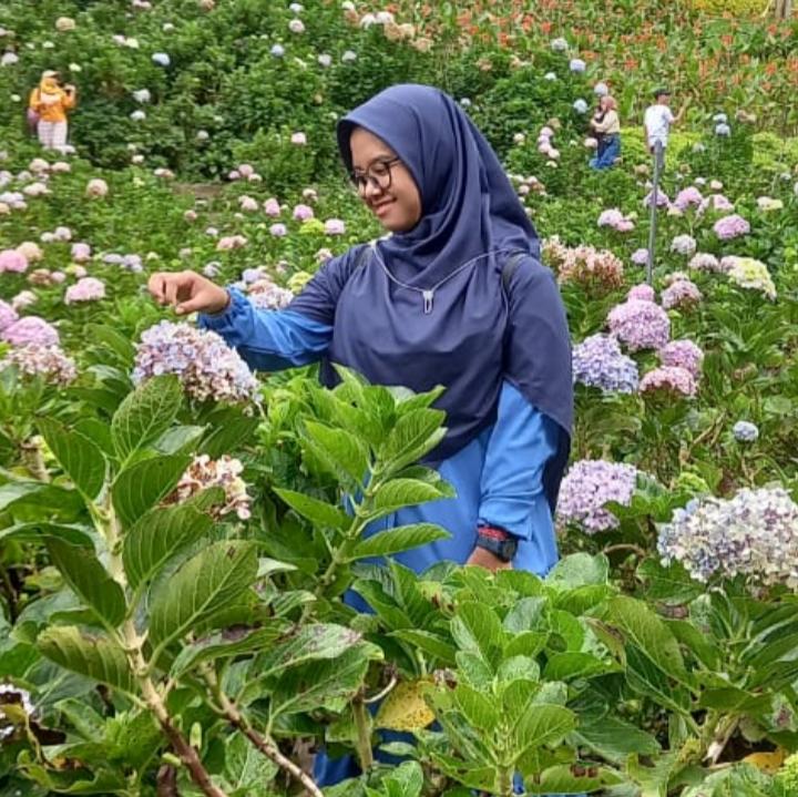 ocha reena's Post|Lemon8