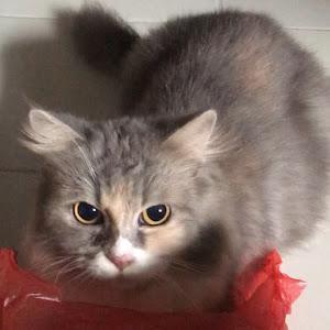 hello.tess's Post|Lemon8