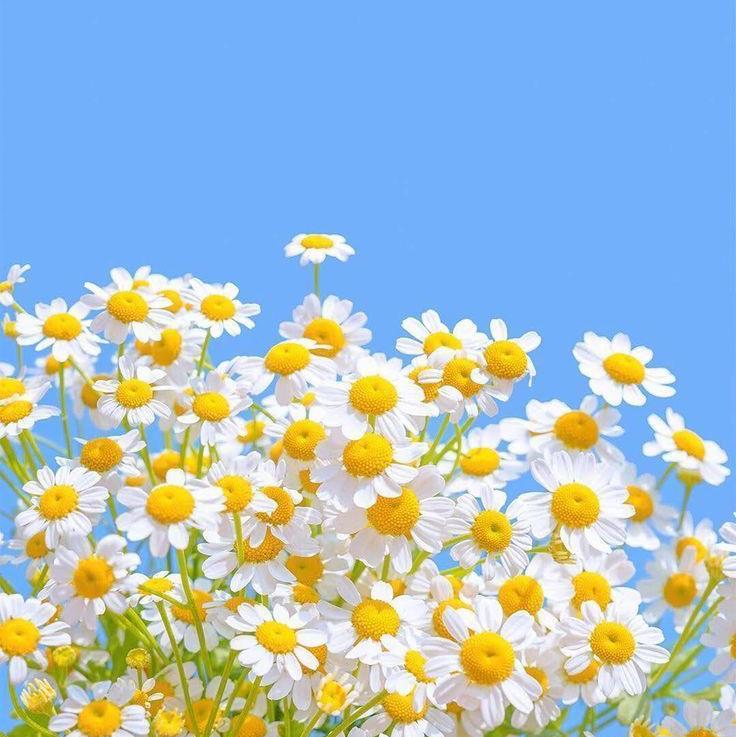 Nedoubleyou's Post|Lemon8