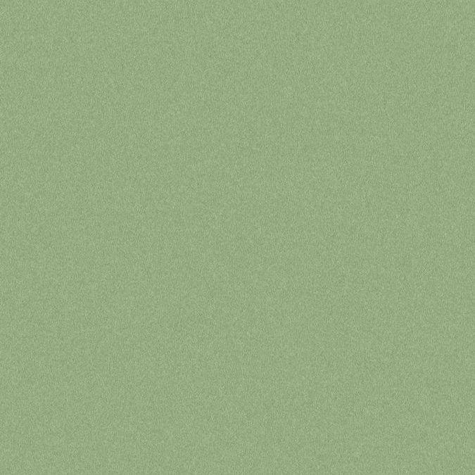 green (*´ `*)'s Post|Lemon8