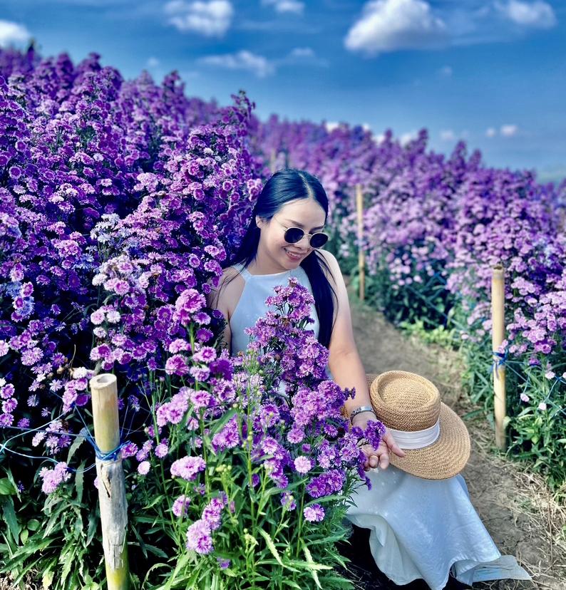 Nooknick's Post|Lemon8