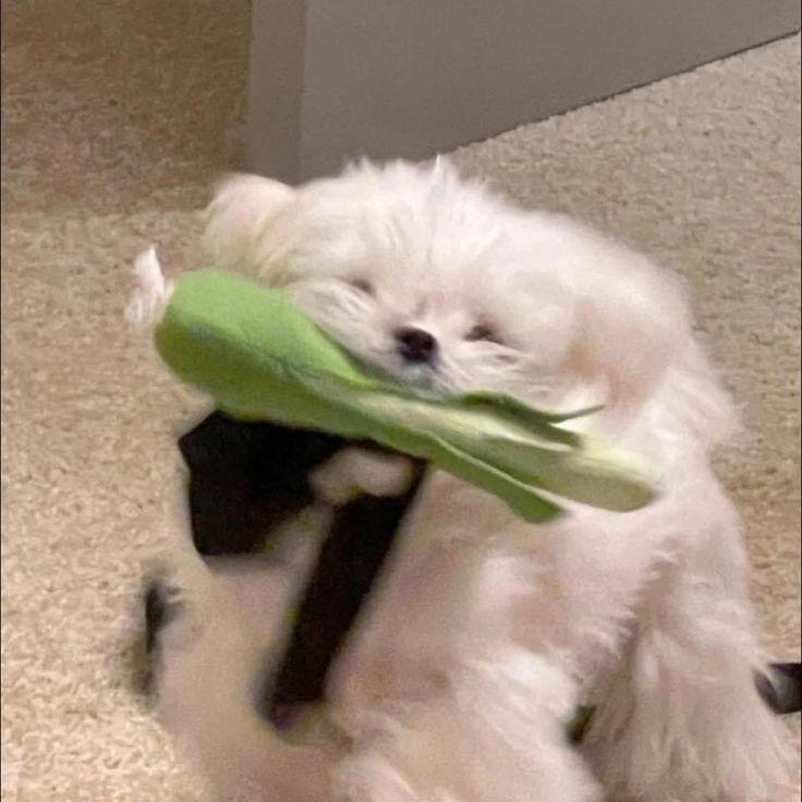 best_kawaii ️‍'s Post|Lemon8