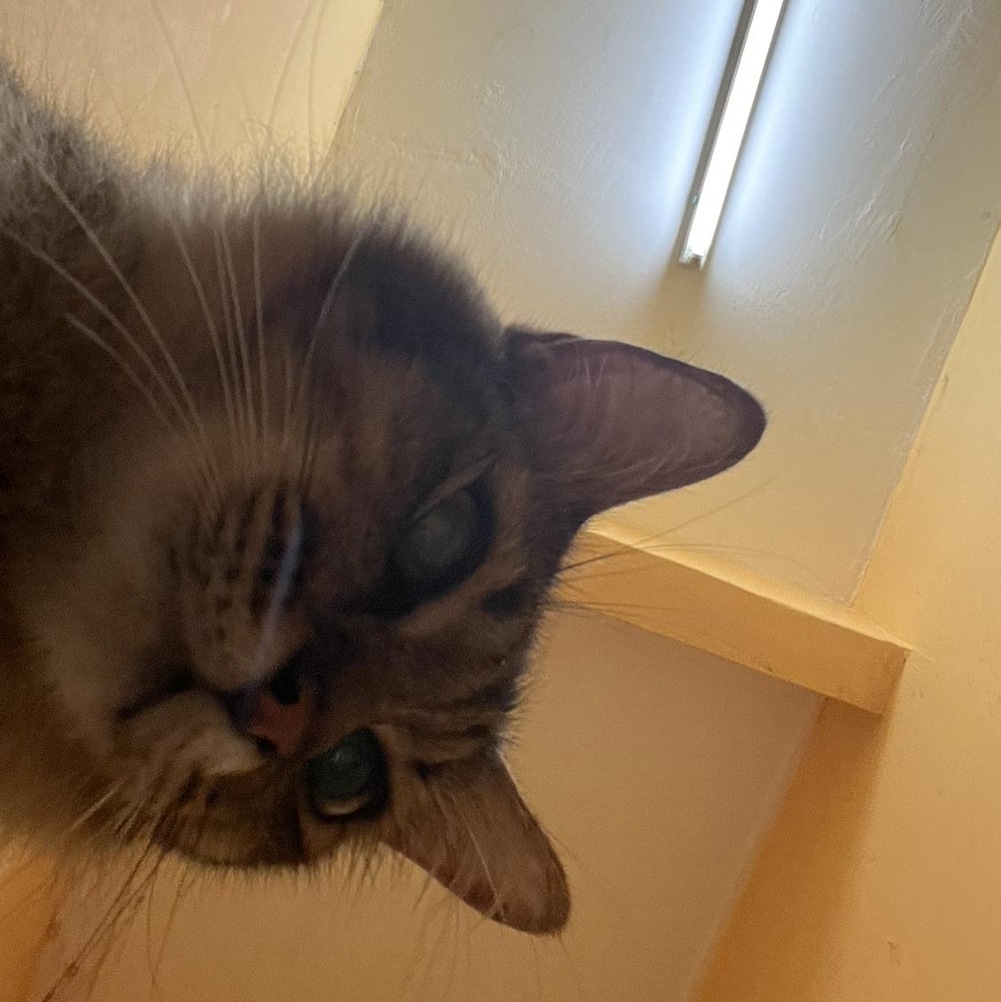 Aina Shaziera's Post|Lemon8