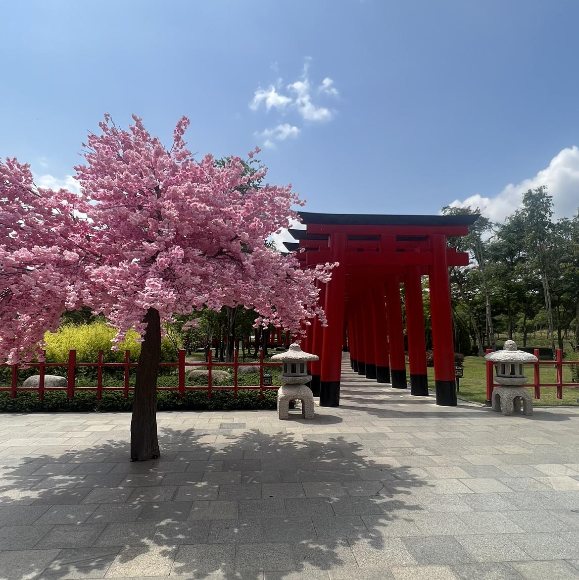 Somsom's Post|Lemon8