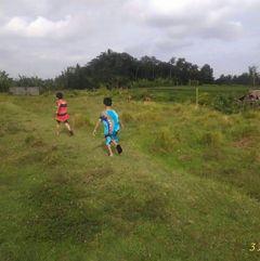 Magdalena Ping's Post|Lemon8